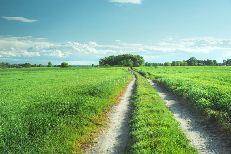 Dirt Road through Green Fields Stock Image - Image of transportation ...