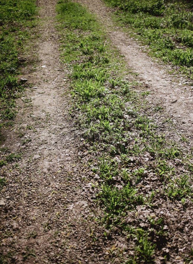 Dirt road in green grass. stock image. Image of country - 248507809