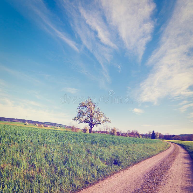 Dirt Road stock photo. Image of drought, mountains, landscape - 38608186