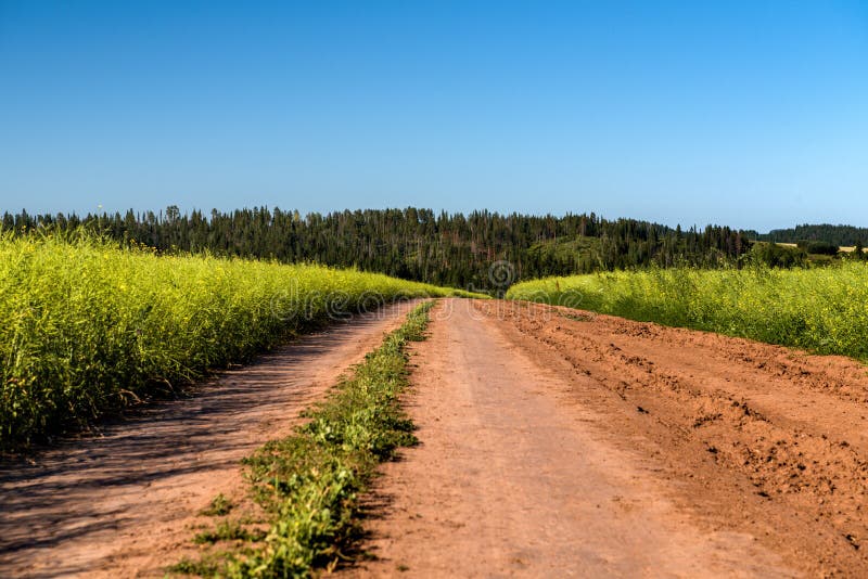 Dirt Road and Landscape Countryside. Stock Image - Image of difficult ...