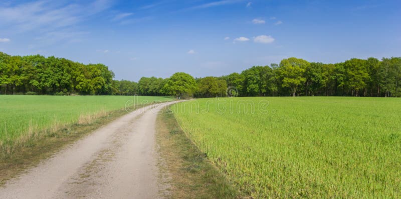 Dirt Road in the Landscape of Overijssel Stock Image - Image of people ...