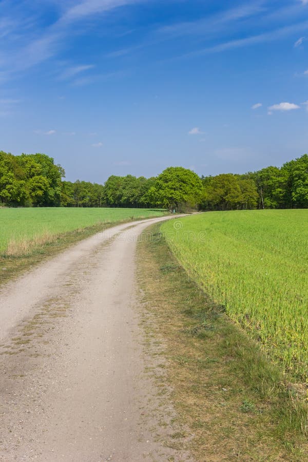 Dirt Road in the Landscape of Overijssel Stock Image - Image of road ...