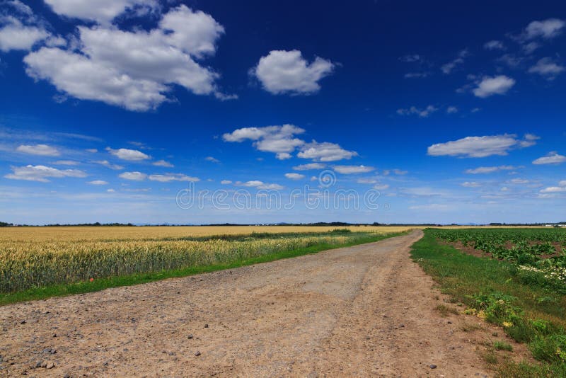 Path Divides Photos - Free & Royalty-Free Stock Photos from Dreamstime