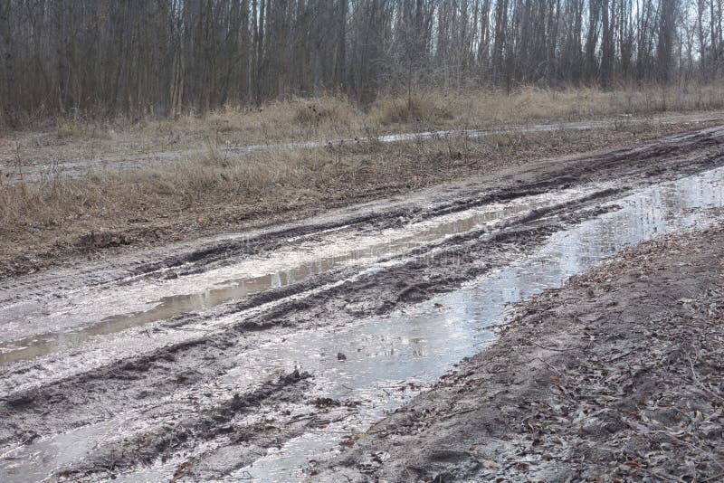 Dirt Road with Liquid Mud and Puddle in Early Spring. Traces from ...