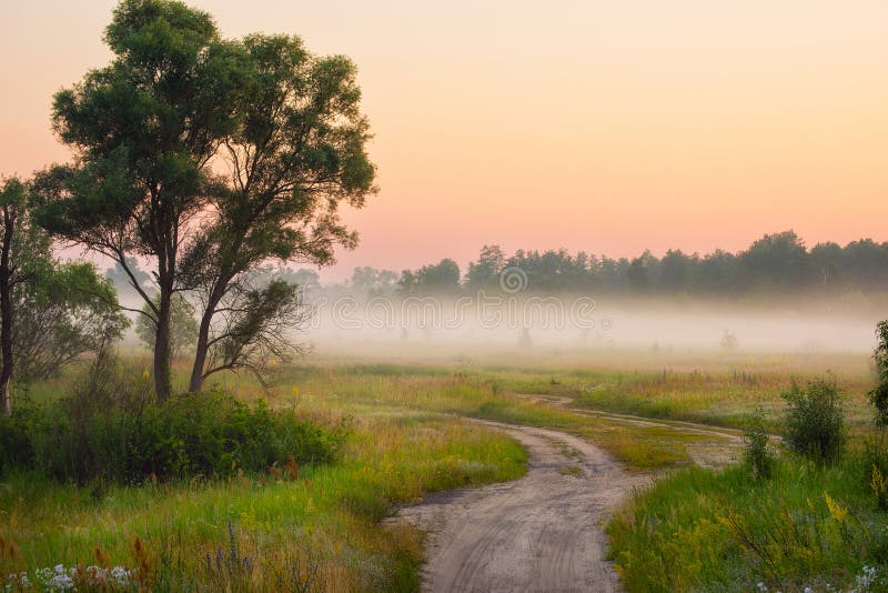 Dirt Road in the Morning Fog among Fields Stock Photo - Image of ...