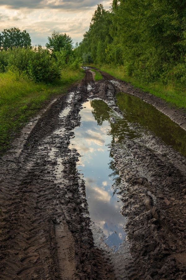 Dirt Road with Mud Ans Sky Reflected in a Puddle Stock Photo - Image of ...