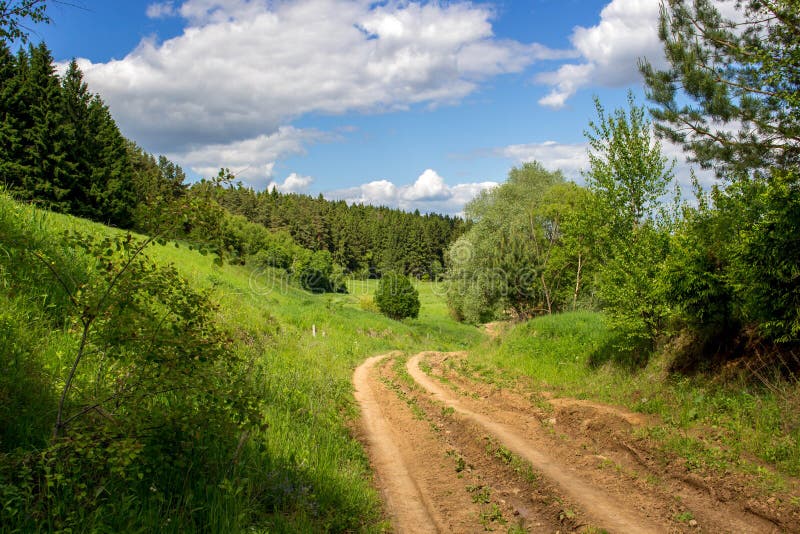 A Dirt Road Near the Forest Stock Image - Image of movement, landscape ...