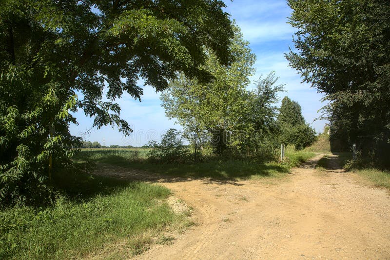 Dirt Road Next To a Field Surrounded by Trees in the Countryside Stock ...