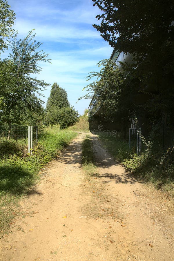 Dirt Road Next To a Field Surrounded by Trees in the Countryside Stock ...