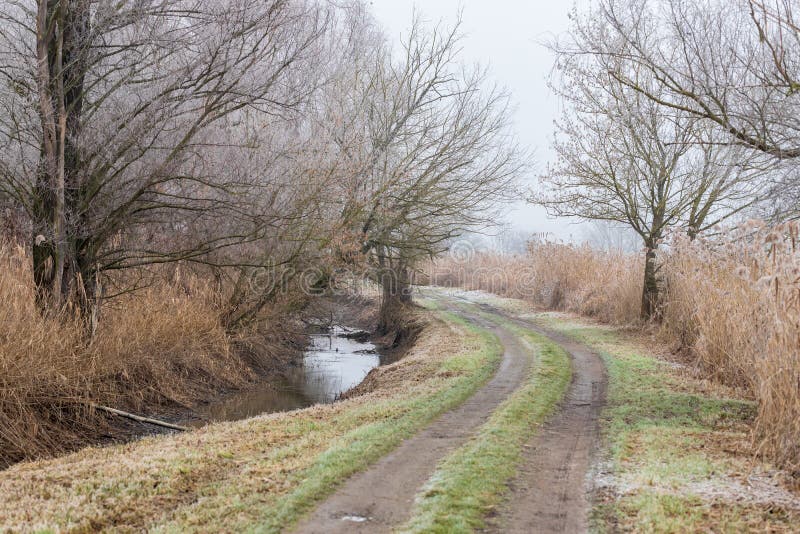 A Dirt Road Next To a Small Stream. There are Trees and Shrubs with ...