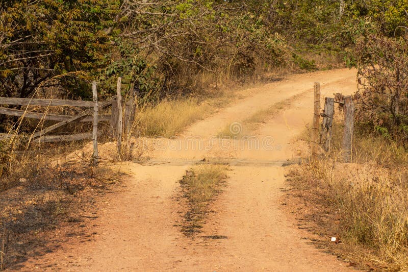 A Dirt Road with an Open Gate. Stock Photo - Image of forest, brazil ...