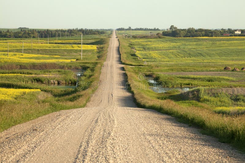 748 Long Straight Dirt Road Stock Photos - Free & Royalty-Free Stock ...
