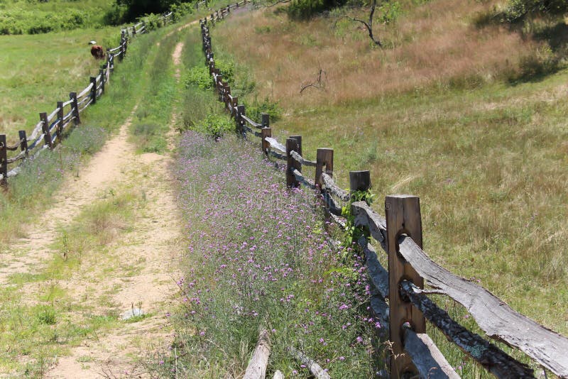 Primitive Fencing stock photo. Image of flat, fence, landscape - 30998724