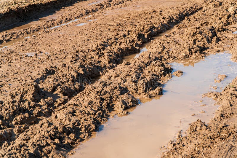 Dirt Road after Rain. Road with Ruts and Puddles Stock Image - Image of ...
