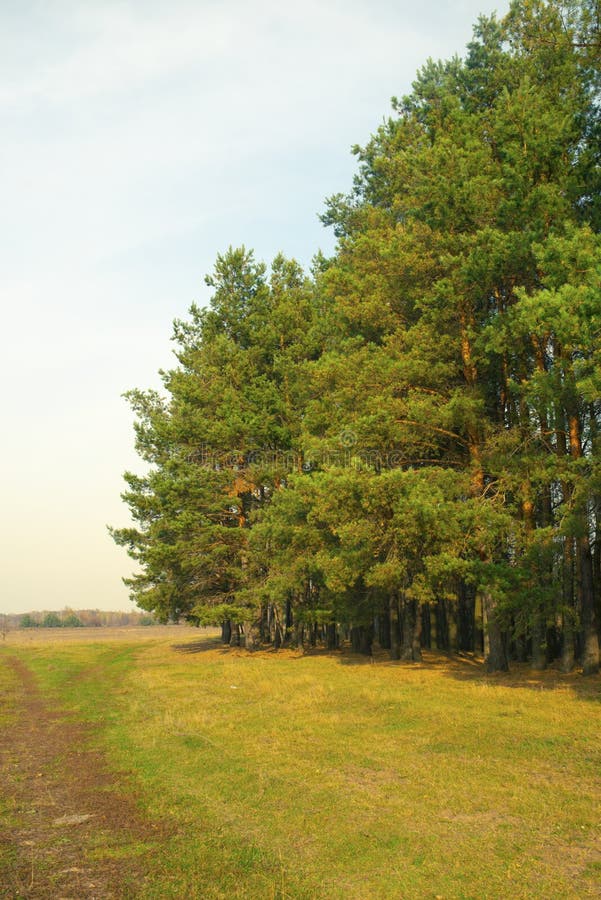 A Dirt Road Runs through a Field. Stock Image - Image of field ...