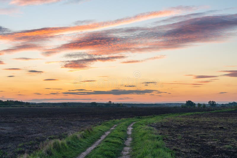 Dirt Road in a Rural Field at Sunset Stock Photo - Image of grass ...