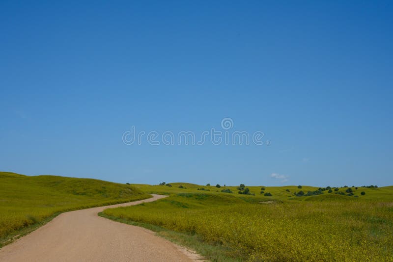 Dirt Road on Side of Badlands Fields Stock Photo - Image of road, land ...