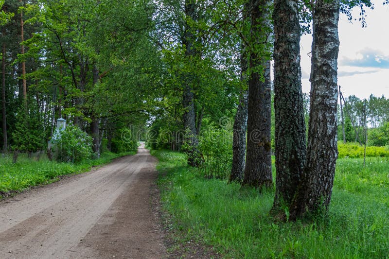 A Road that Stretches in the Middle of Nature S Mountains. Stock Image ...