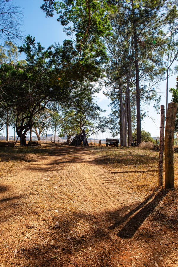 Dirt Road on Sunny Day with Shadow Made by Trees and Blue Sky in the ...