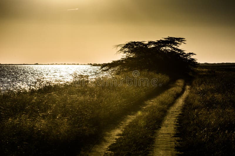 Dirt road at sunset stock photo. Image of african, lake - 41738556