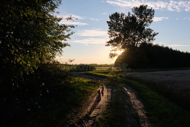 Dirt road in sunset light stock photo. Image of calm - 259657508