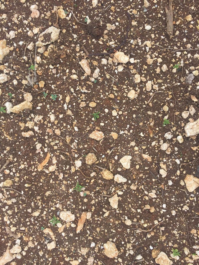 Dirt road texture. stock image. Image of gaming, dirt - 128049977