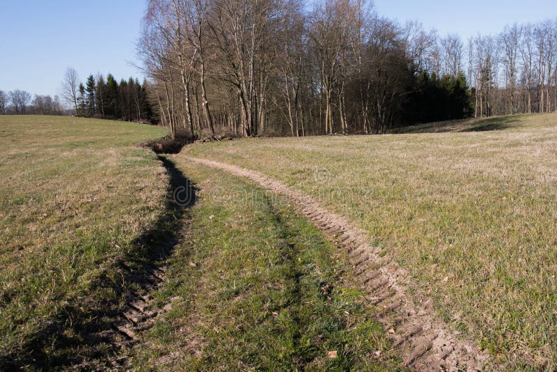 A Dirt Road To the Forest. a Small Forest Behind the Hill Stock Photo ...