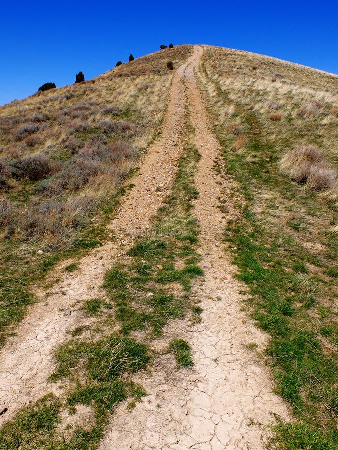 Dirt Road Tracks on Hillside Texture and Juniper Trees Stock Photo ...