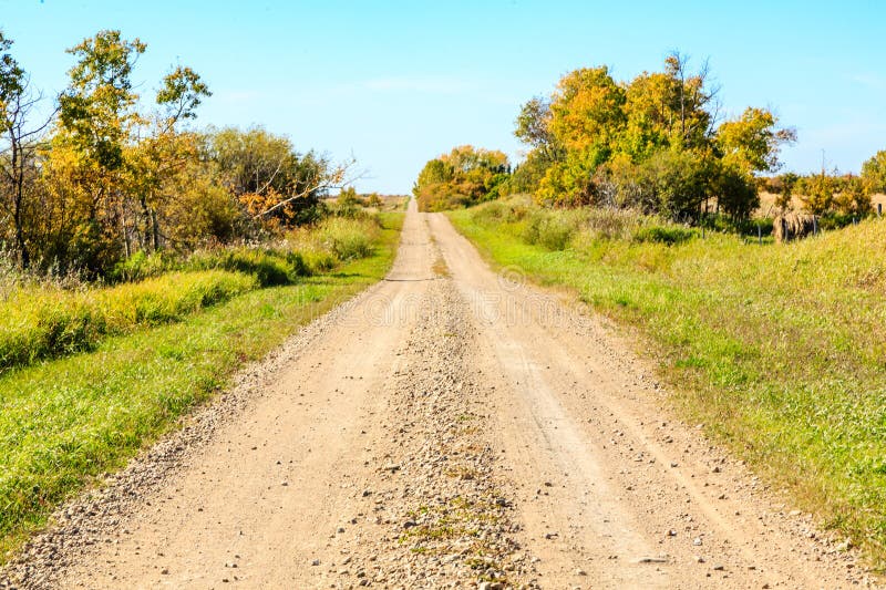 A Dirt Road with Trees in the Background Stock Photo - Image of ...