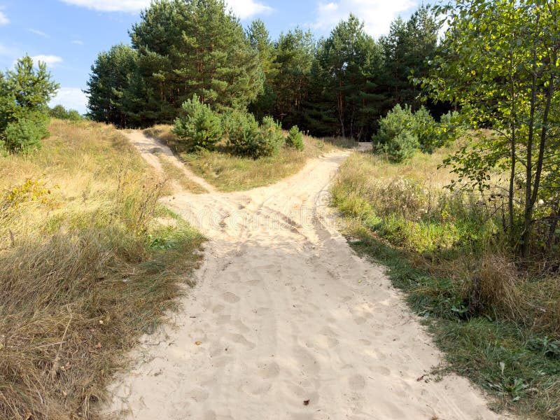 A Dirt Road with Two Paths Leading in Opposite Directions Stock Image ...