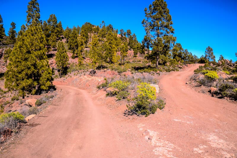 A Dirt Road with Two Paths, One To the Left and One To the Right Stock ...