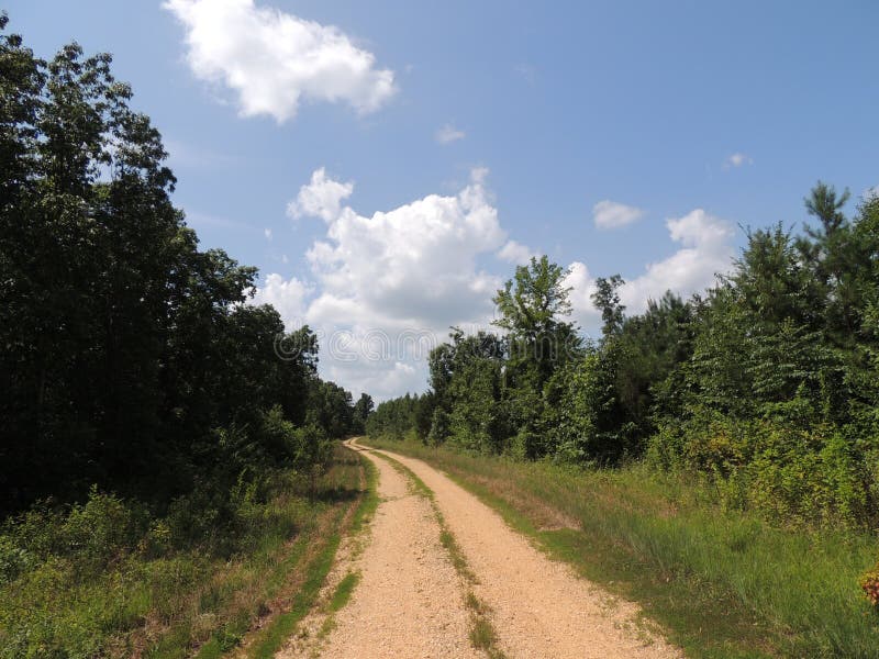 Dirt Road under Blue Sky stock image. Image of blue, savanna - 65430537
