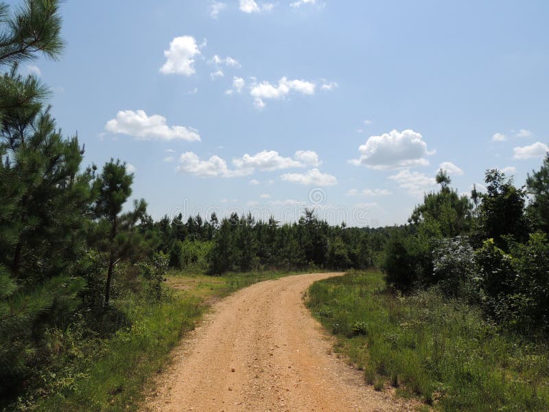 Dirt Road under Blue Sky stock image. Image of vegetation - 65430557