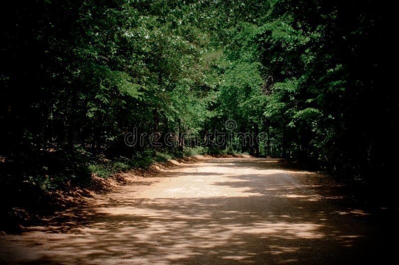 Shaded road stock image. Image of highway, shaded, driving - 94357555