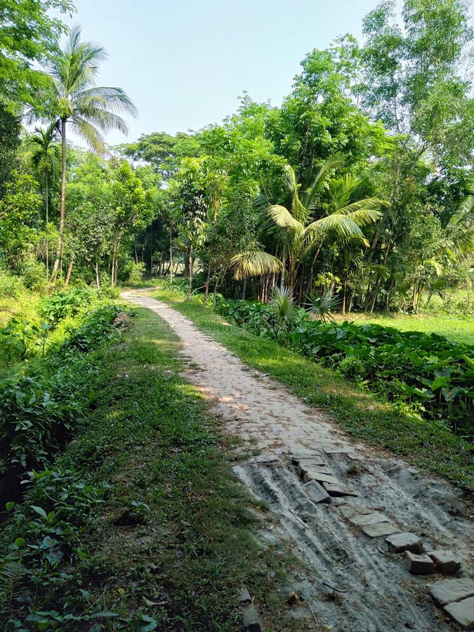 The Dirt Road of the Village is a Beautiful Sight Stock Image - Image ...
