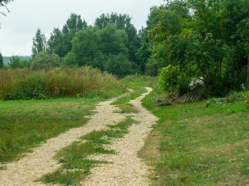 Dirt Road through the Village Stock Photo - Image of plant, cloud ...