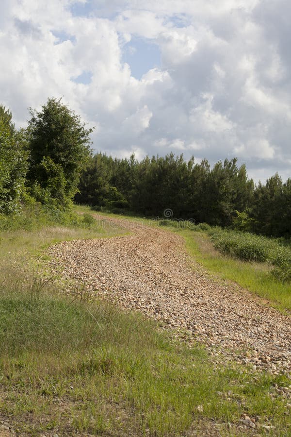 Dirt Road stock image. Image of forest, bush, direction - 86703345