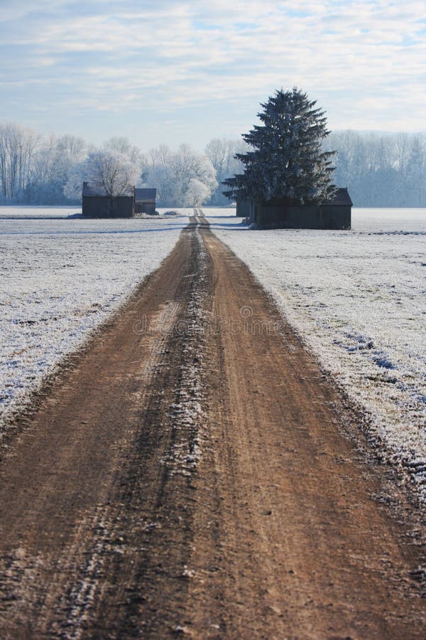 Dirt road in winter stock image. Image of bavaria, tourism - 4789465
