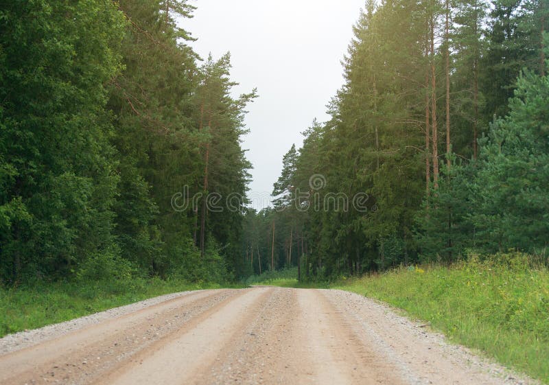 Dirt road. stock image. Image of gravel, trail, backwoods - 75954437
