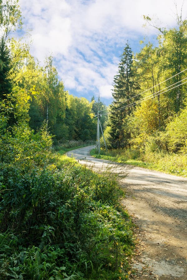 Dirt road in the woods stock photo. Image of autumn, lane - 51358688