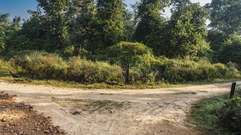 Dirt Roads Intersect in the Form of a Triangle. Stock Image - Image of ...