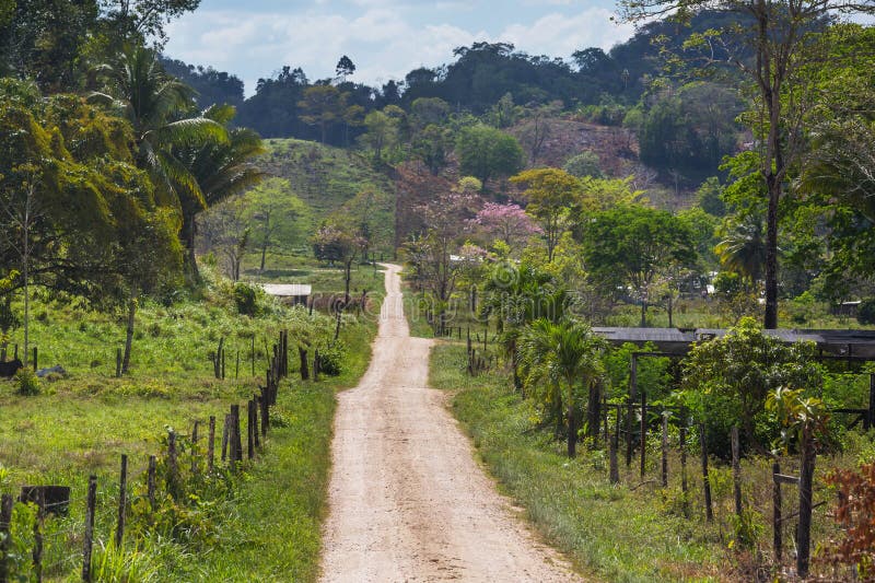 Road in Belize stock photo. Image of road, field, fence - 279331184