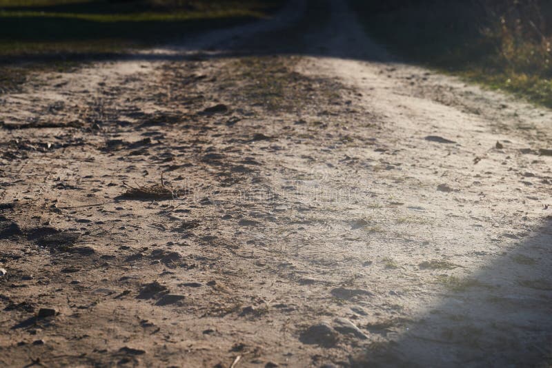 Dirt Rural Road. the View from the Bottom Point Stock Photo - Image of ...