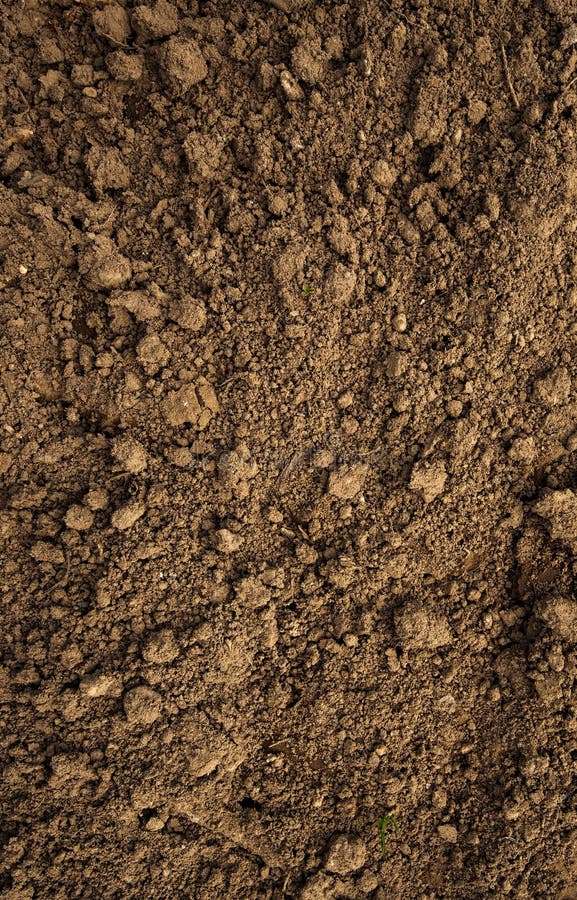 Dirt Clod in Soybean Farm Field after Fall Tillage. Stock Image - Image ...