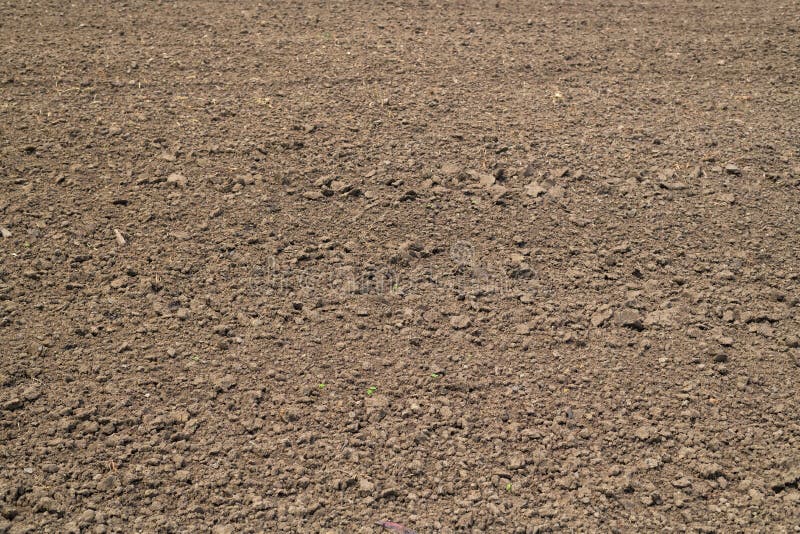 Dirt soil ground stock photo. Image of earth, environment - 254944432