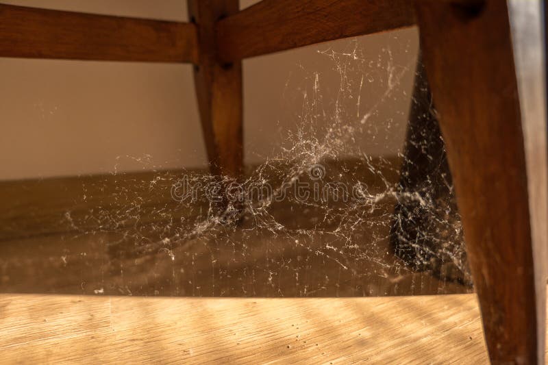 Dirt and the Spiderweb on the Wooden Stool Stock Photo - Image of stool ...