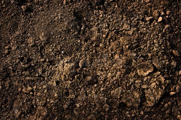 Dirt texture stock photo. Image of texture, garden, soil - 12611254