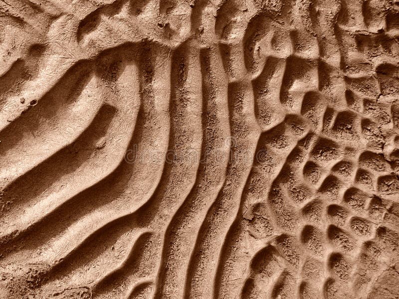 Dirt texture stock photo. Image of dirt, humid, tracery - 5153770