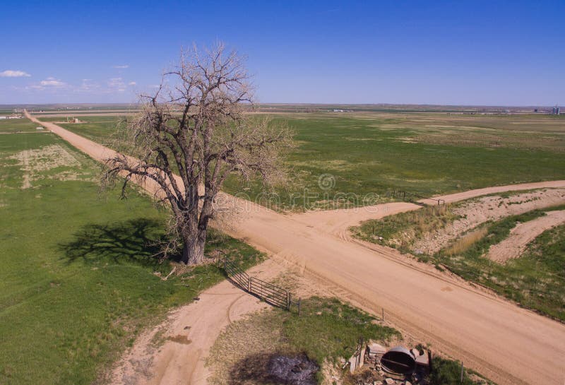 Crossroads by tree stock photo. Image of ditch, expanse - 159101602