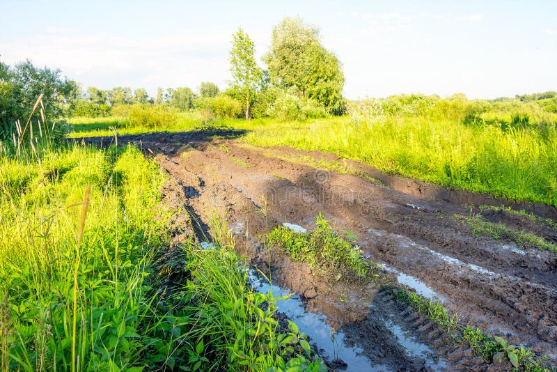 Dirt track in forest stock image. Image of season, russia - 96202137
